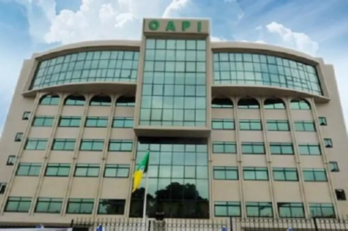 L'OAPI : Votre Guide Complet pour Comprendre et Utiliser l'Organisation Africaine de la ...